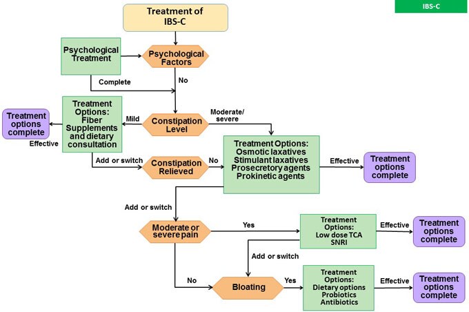 Diagnosing and Treating IBS: Translating Rome IV for GI and Primary ...