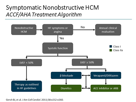 What Is New in HCM? Latest Advances and Implications for Clinical Care ...