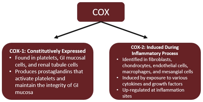 Update on NSAIDs: Translating Pharmacology Into Practice