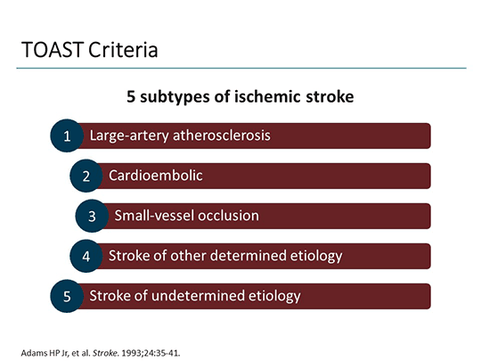 Toast Criteria For Stroke , Etiologic classification of ischemic stroke ...