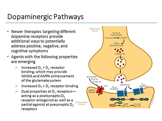 Schizophrenia Treatments With New Mechanisms of Action Are Emerging ...