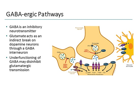 Schizophrenia Treatments With New Mechanisms of Action Are Emerging ...