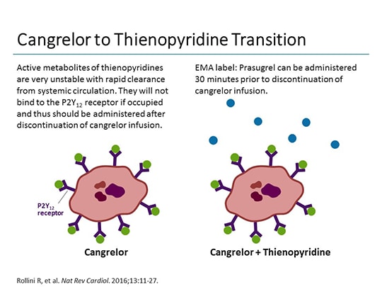 Complex Cases in PCI: Tailoring Antiplatelet Therapy to Improve ...