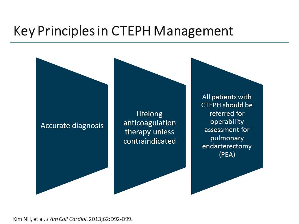Current and Emerging Data in CTEPH: Implications for Clinical Practice ...