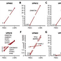 Early Detection and Evolution of Preleukemic Clones in Therapy-Related ...
