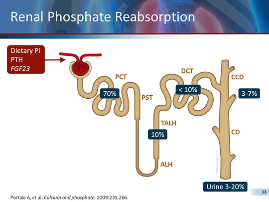 Hereditary Hypophosphatemia: Diagnostic Challenges and Potential New ...