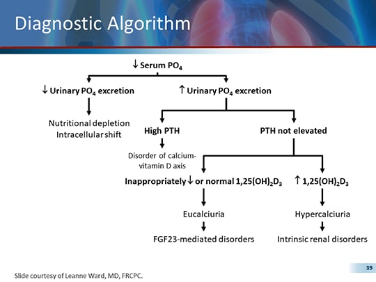 Hereditary Hypophosphatemia: Diagnostic Challenges and Potential New ...