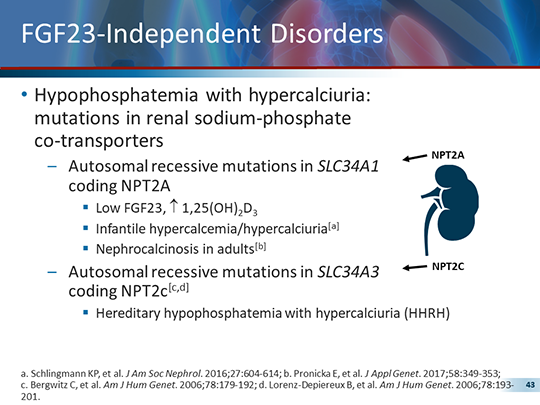 Hereditary Hypophosphatemia: Diagnostic Challenges and Potential New ...