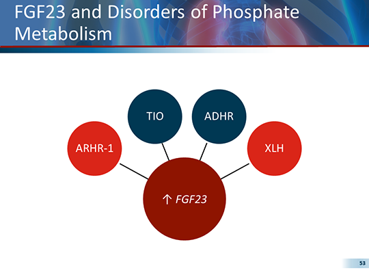Hereditary Hypophosphatemia: Diagnostic Challenges and Potential New ...