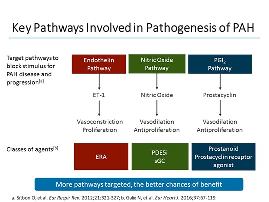 Goal-Directed Treatment of PAH: An Evolution to Up-front Combination ...