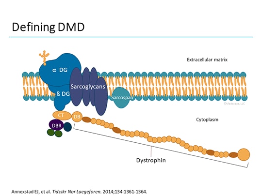 Standards of Care in Duchenne Muscular Dystrophy: A 2018 Update