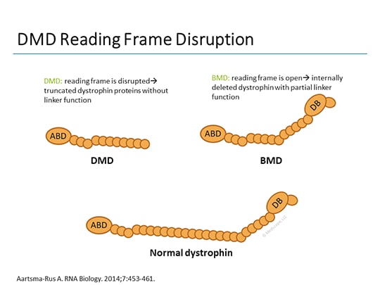 Standards of Care in Duchenne Muscular Dystrophy: A 2018 Update