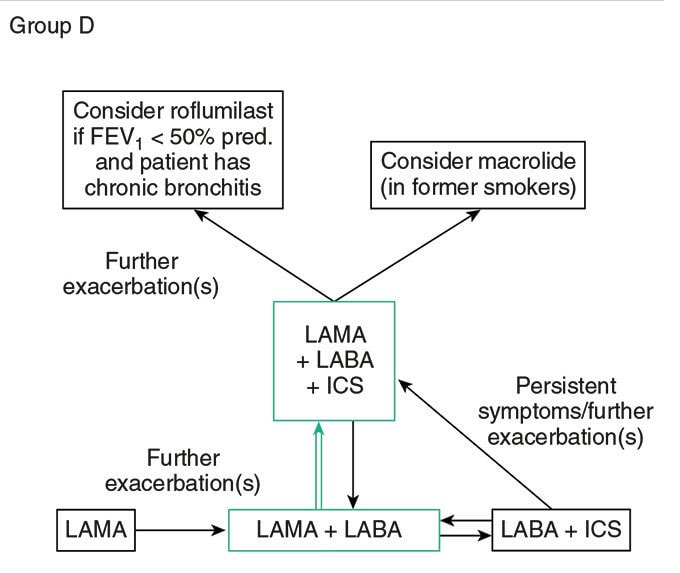 How Would You Approach This Patient With COPD?
