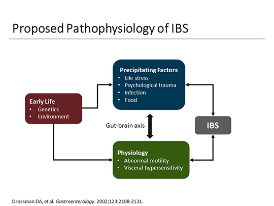 Managing IBS-D in Primary Care: Cases to Improve Management
