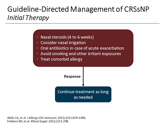Chronic Rhinosinusitis: Strategies for Maximizing Medical Therapies
