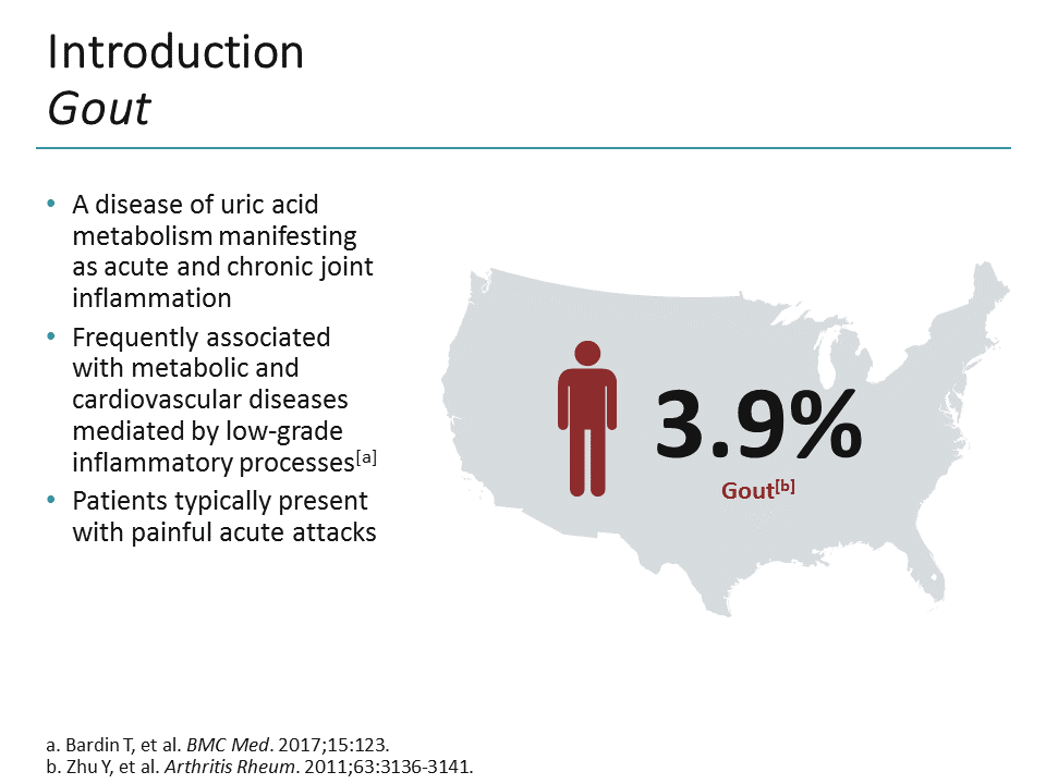 Gout Management: An Integrated Vision for Improving Outcomes