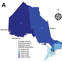 Epidemiology and Geographic Distribution of Blastomycosis ...