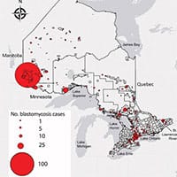 Epidemiology and Geographic Distribution of Blastomycosis ...