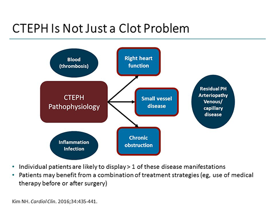 New Treatments for CTEPH: What Do the Latest Data Suggest? (A Journal ...