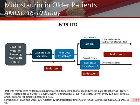 Taking a Personalized Approach to AML Treatment: FLT3 Inhibition ...