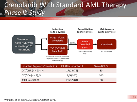 Taking a Personalized Approach to AML Treatment: FLT3 Inhibition ...