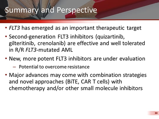 Taking a Personalized Approach to AML Treatment: FLT3 Inhibition ...