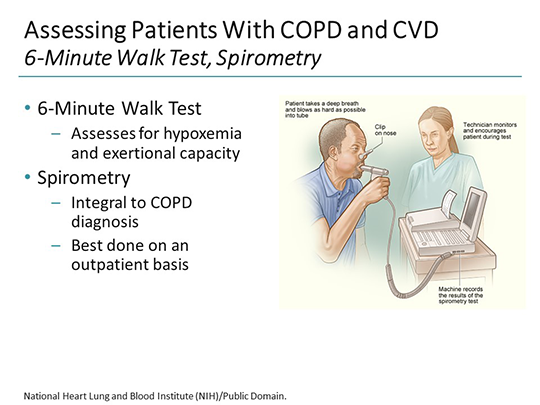 Optimizing Outcomes in Patients With COPD and Cardiovascular Comorbidities