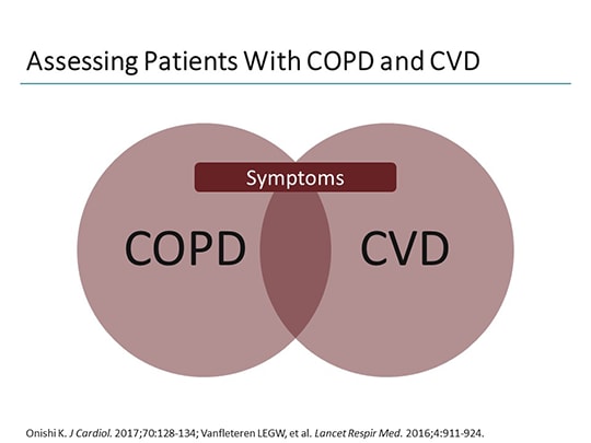 Optimizing Outcomes in Patients With COPD and Cardiovascular Comorbidities