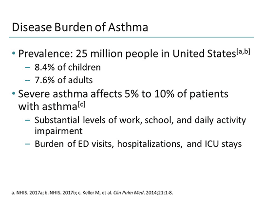 Addressing Disease Burden in Asthma: An Integrated View