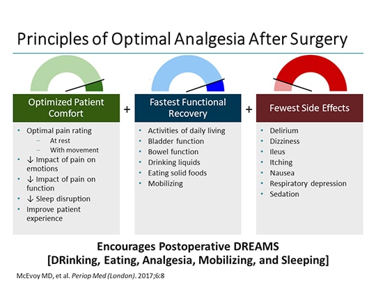 Improving Surgical Patient Safety: Surgical and Anesthesia Perspectives ...