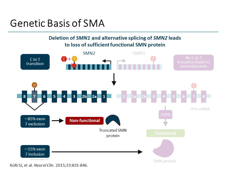 Best Practices in SMA: What New Data Are Telling Us (Transcript)