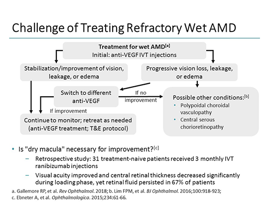 Developments in the Wet AMD Treatment Landscape: A Look Ahead (Transcript)