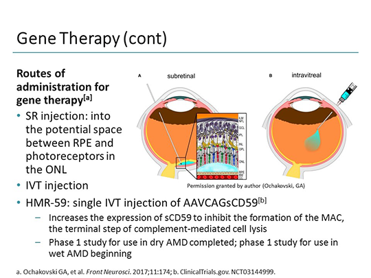 Developments in the Wet AMD Treatment Landscape: A Look Ahead (Transcript)