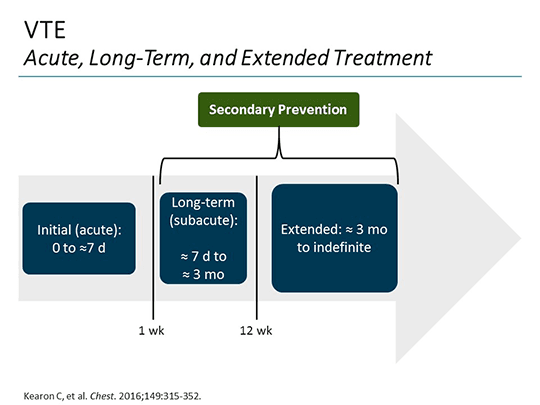 Practical Considerations to Extend Treatment for VTE: What Every ...