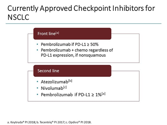 The Nurse View: Spotlight on Immune Checkpoint Inhibitors in Advanced ...