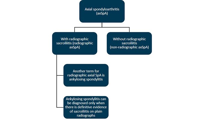 Case Challenges in Axial Spondyloarthritis: A Systematic Approach to ...