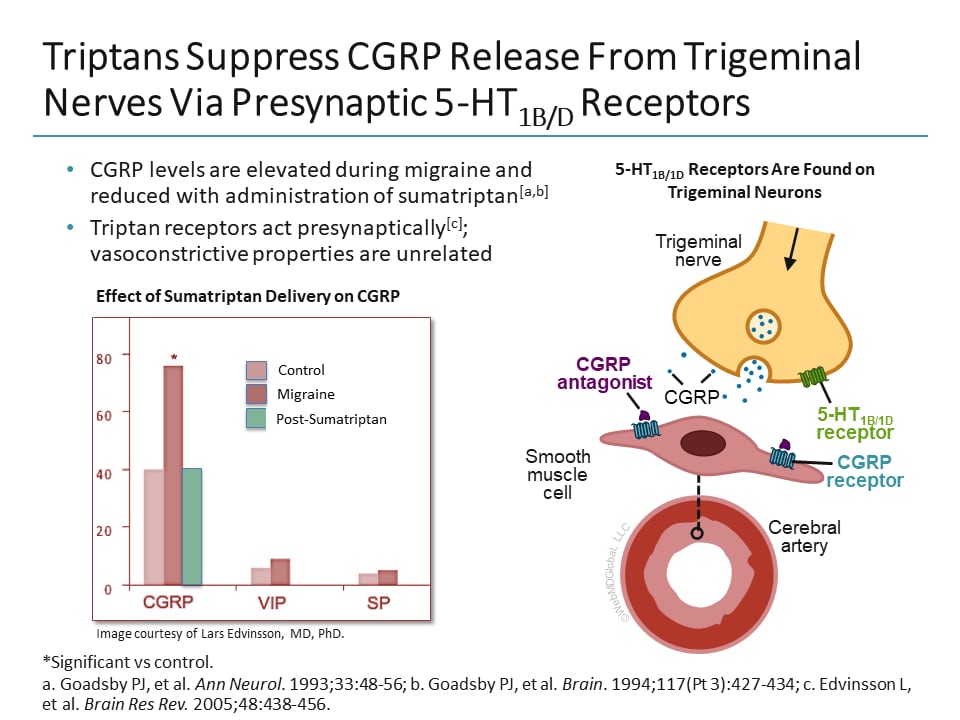 CGRP Antibodies in Migraine: How Science Can Guide Clinical Decision ...