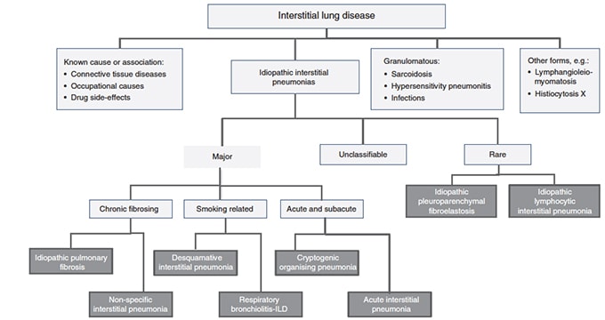 Progressive Fibrosing Interstitial Lung Diseases: Different Diagnoses ...
