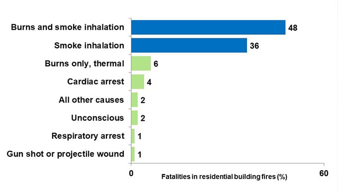 Fire-Related Smoke Inhalation: Considerations and Clinical Insights on ...