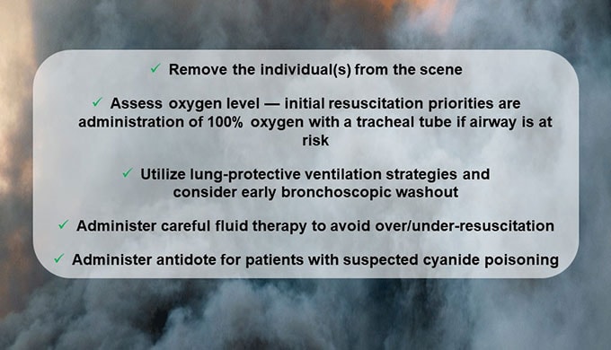 Fire-Related Smoke Inhalation: Considerations and Clinical Insights on ...