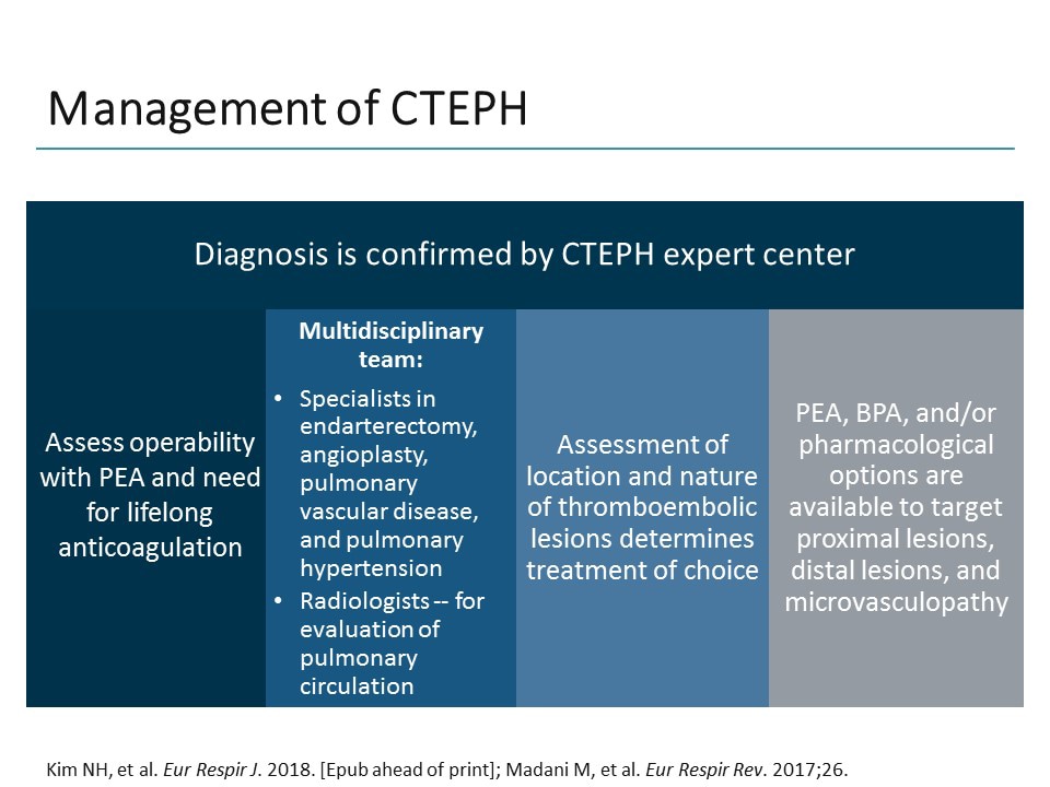 Pulmonary Hypertension Updates From 2018: Highlights and Implications ...