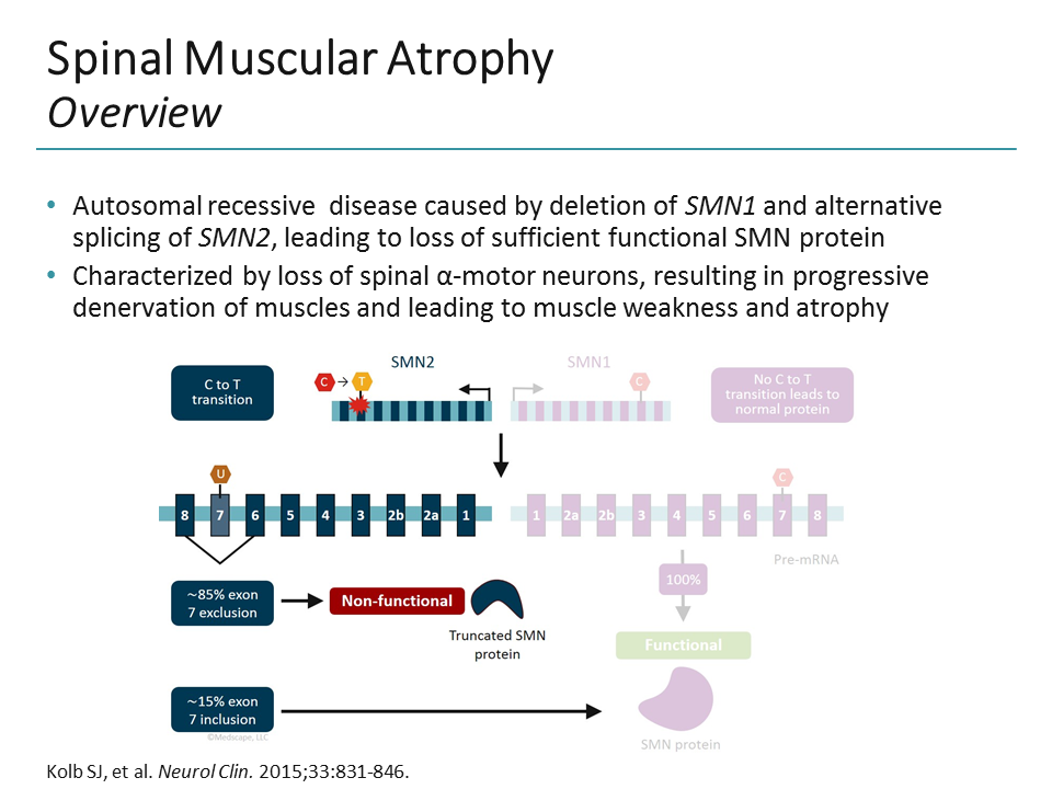 Updates in SMA From an International Muscle Meeting