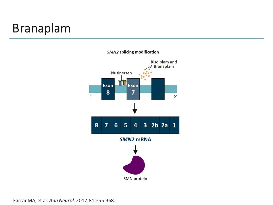 Updates in SMA From an International Muscle Meeting