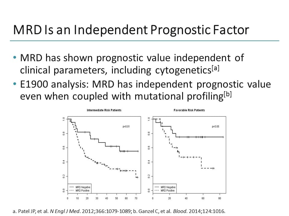 The Role of Measurable Residual Disease in AML (Transcript)
