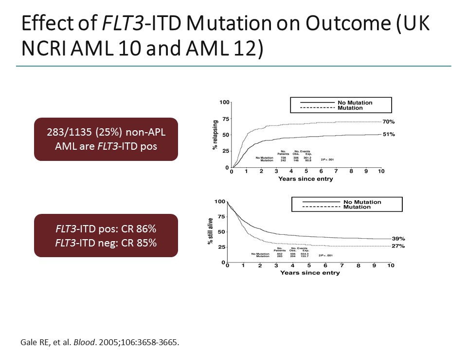 Relapsed/Refractory FLT3+ AML: Challenges and New Directions (Transcript)
