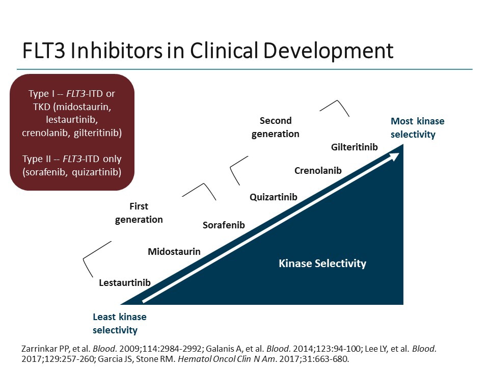 Relapsed/Refractory FLT3+ AML: Challenges and New Directions (Transcript)