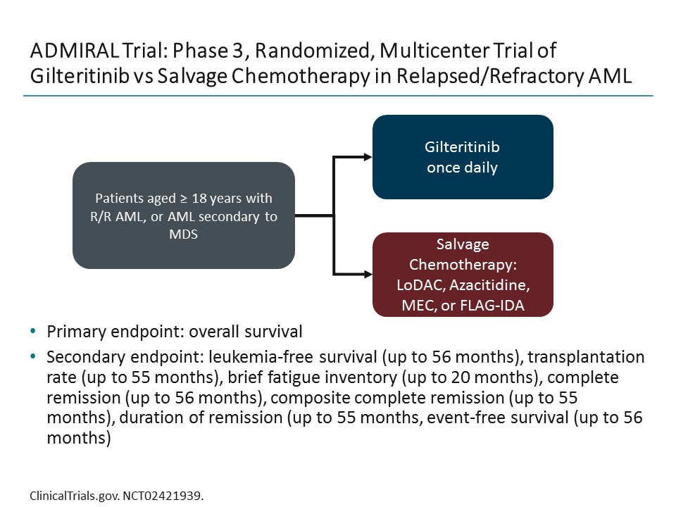 Relapsed/Refractory FLT3+ AML: Challenges and New Directions (Transcript)