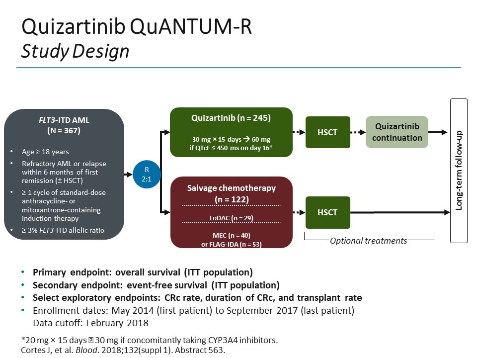 Relapsed/Refractory FLT3+ AML: Challenges and New Directions (Transcript)