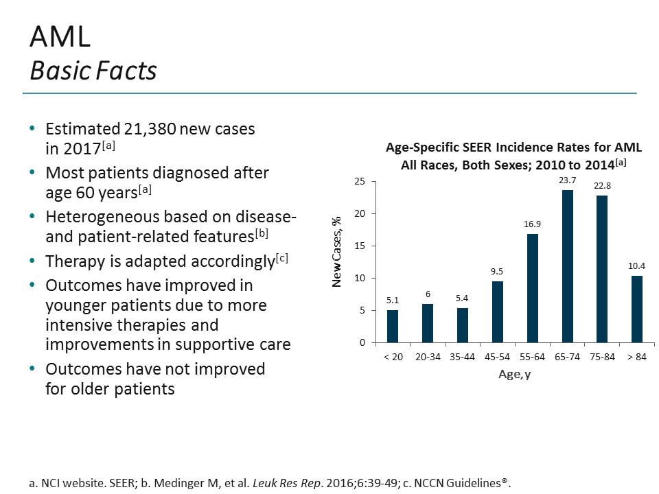 Relapsed/Refractory FLT3+ AML: Challenges and New Directions (Transcript)