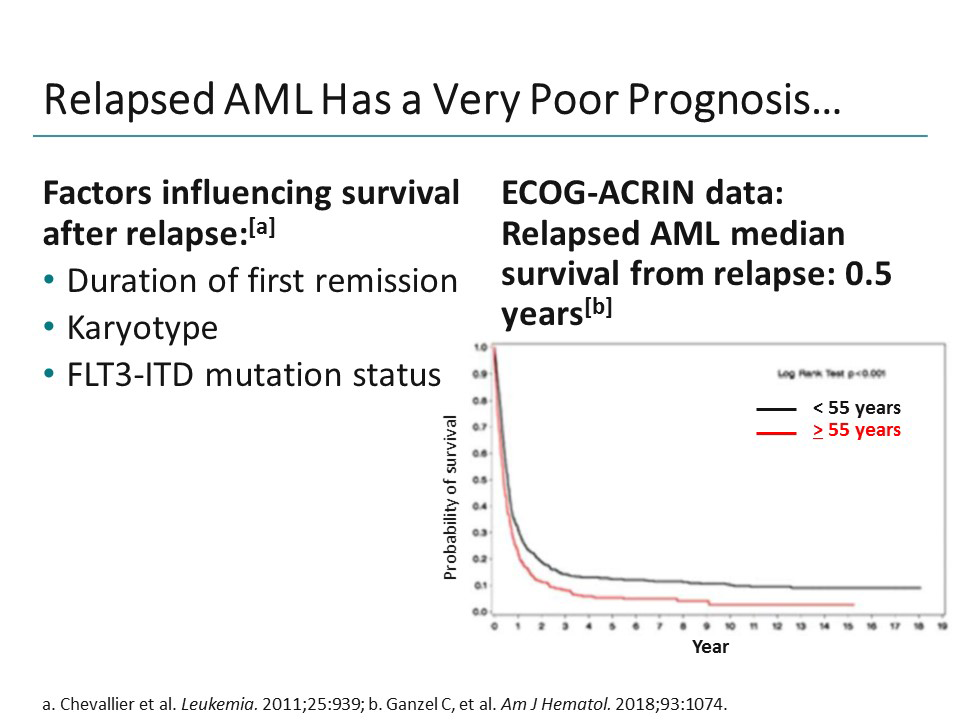 Relapsed/Refractory FLT3+ AML: Challenges and New Directions (Transcript)